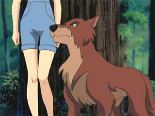 X Men Evolution Wolfsbane